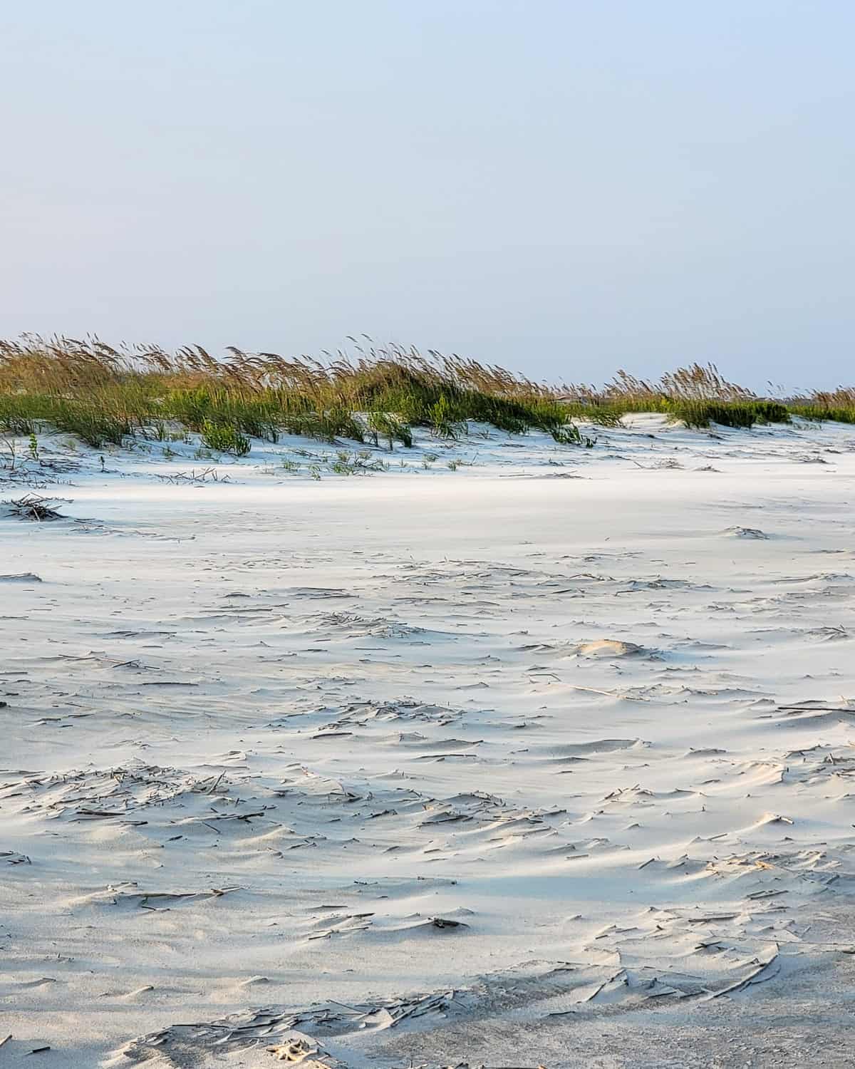 10+ Best Beaches Near Brunswick, GA