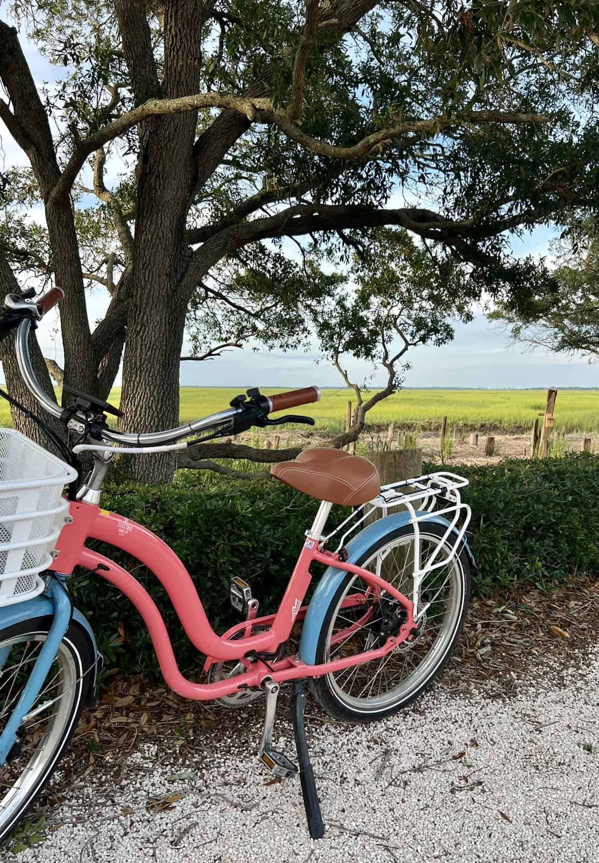 Our Top 15 Things to Do on St Simons Island (2026)
