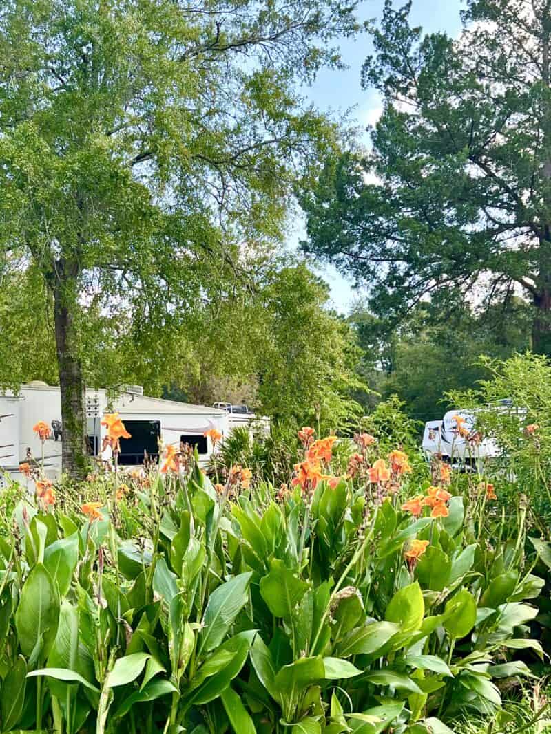 Brunswick GA Campgrounds - Tent and RV Camping