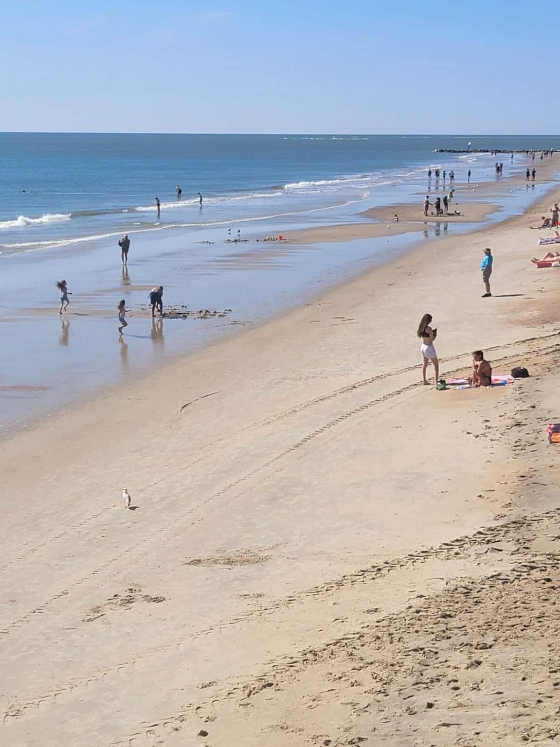 Georgia Beaches Ranked: A Local's Honest Guide to the Best Spots!