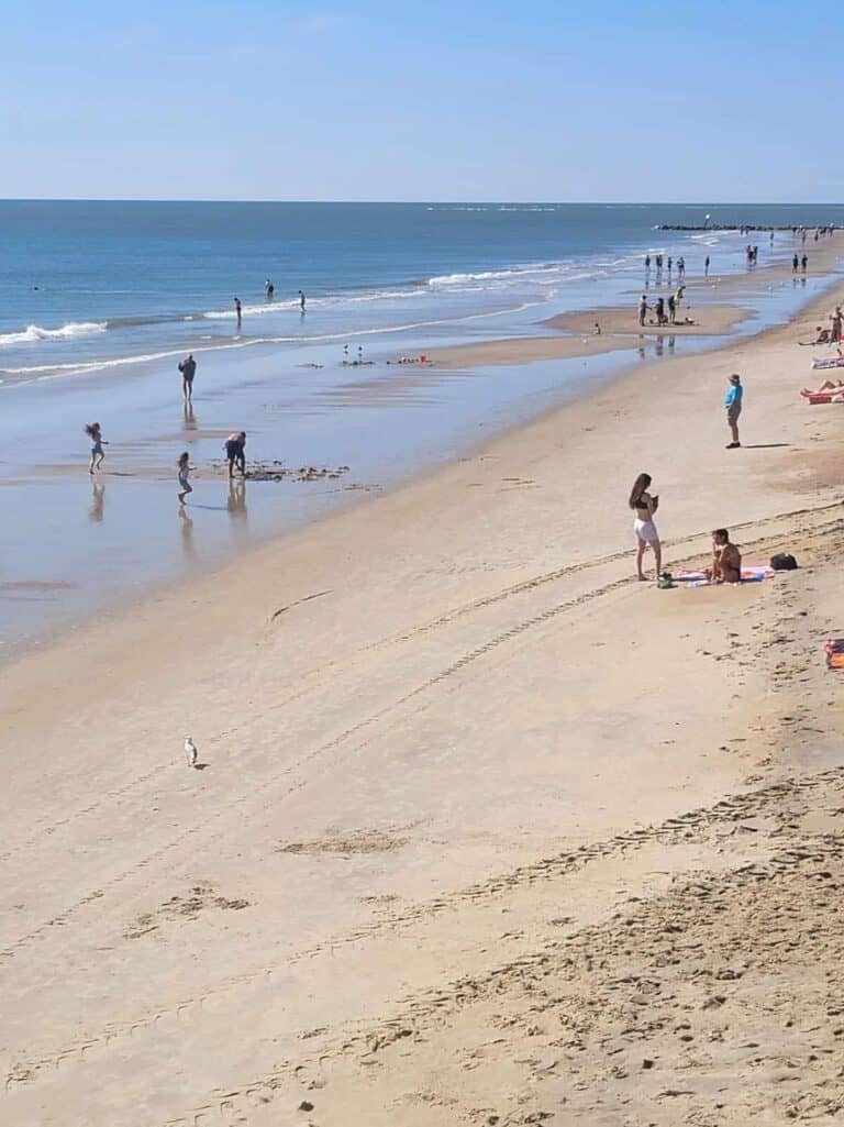Georgia Beaches Ranked: A Local's Honest Guide to the Best Spots!