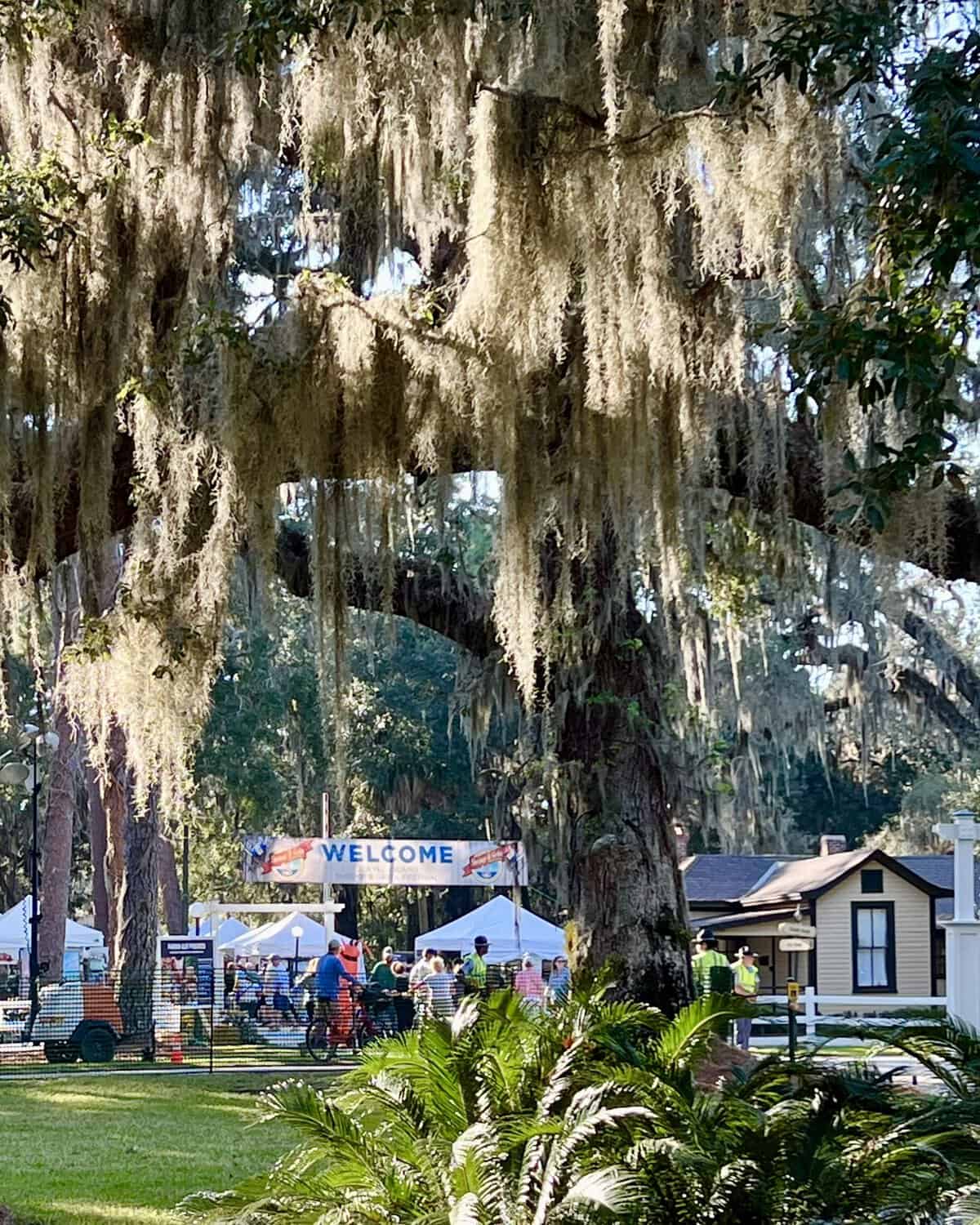 Fabulous Fall Events in Georgia: Coastal Edition