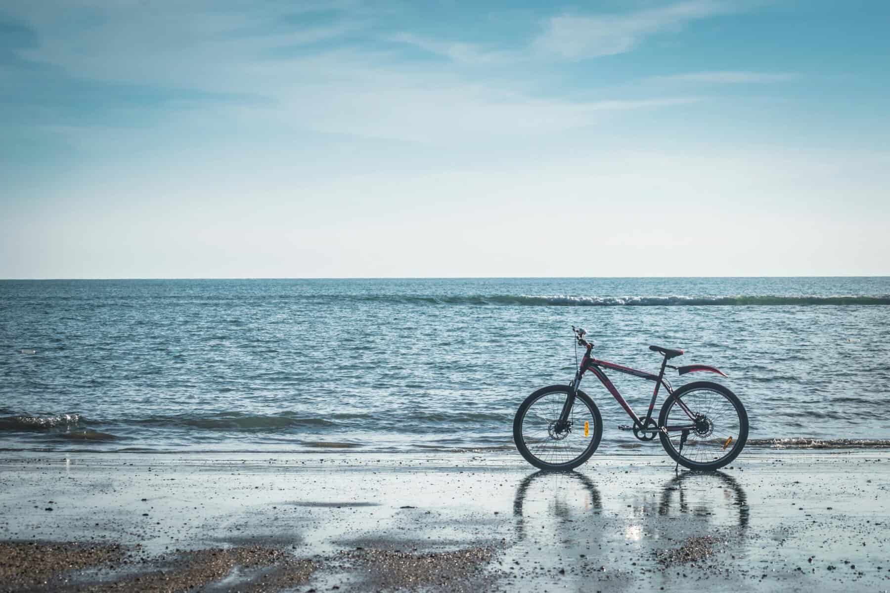 Bike Rental Guide: St. Simons Island