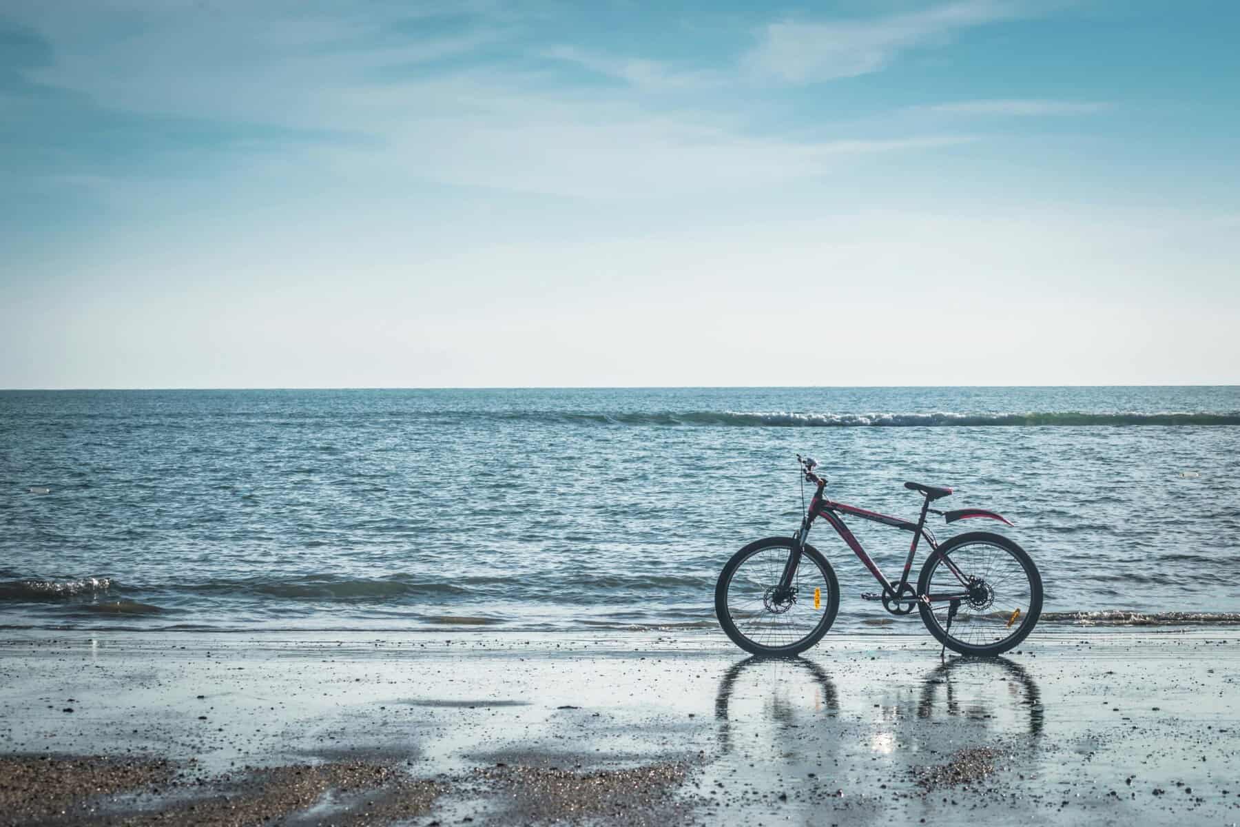 Bike Rental Guide: St. Simons Island