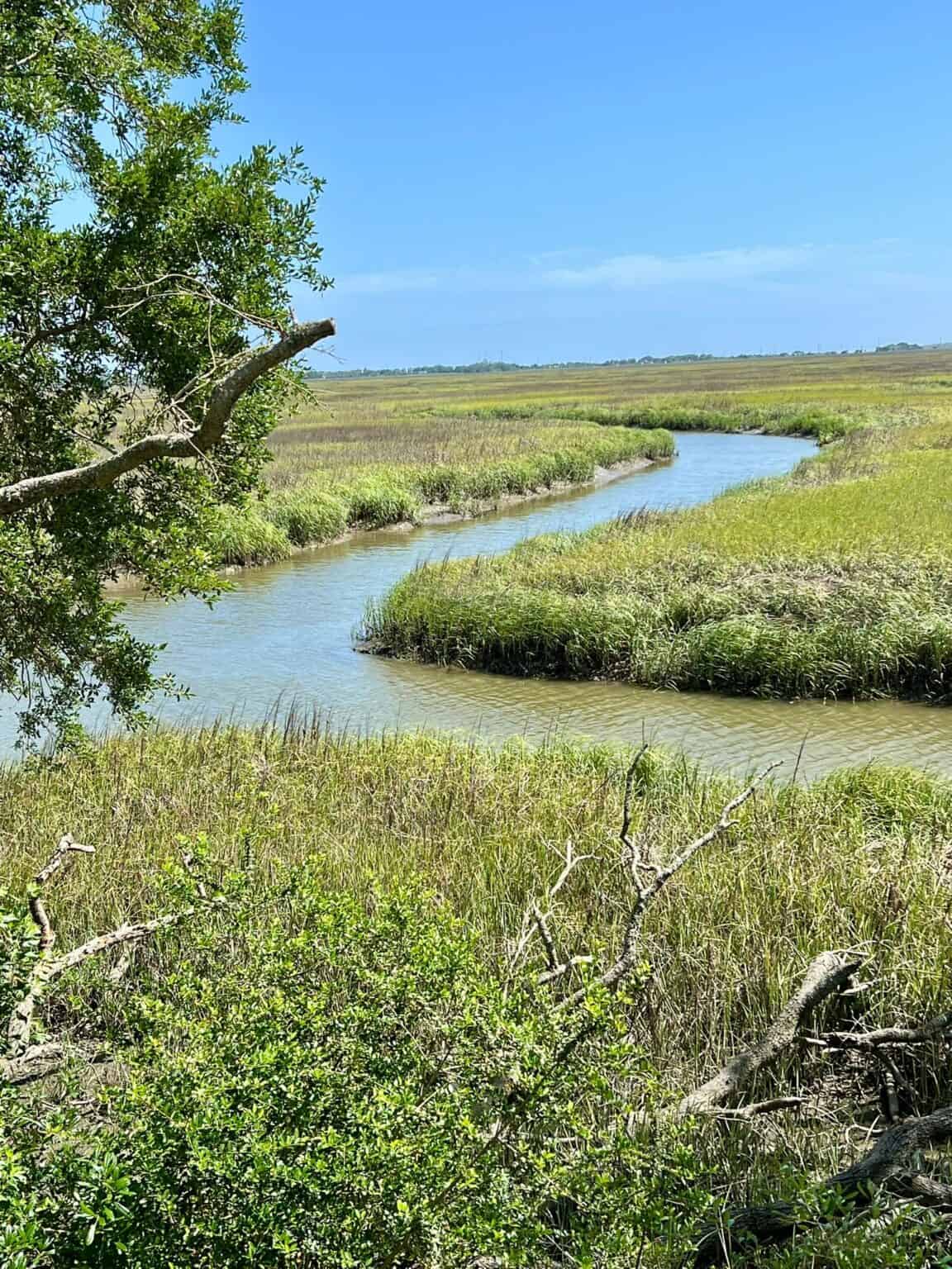 A Scenic Drive Along U.S Highway 17 in Coastal Georgia
