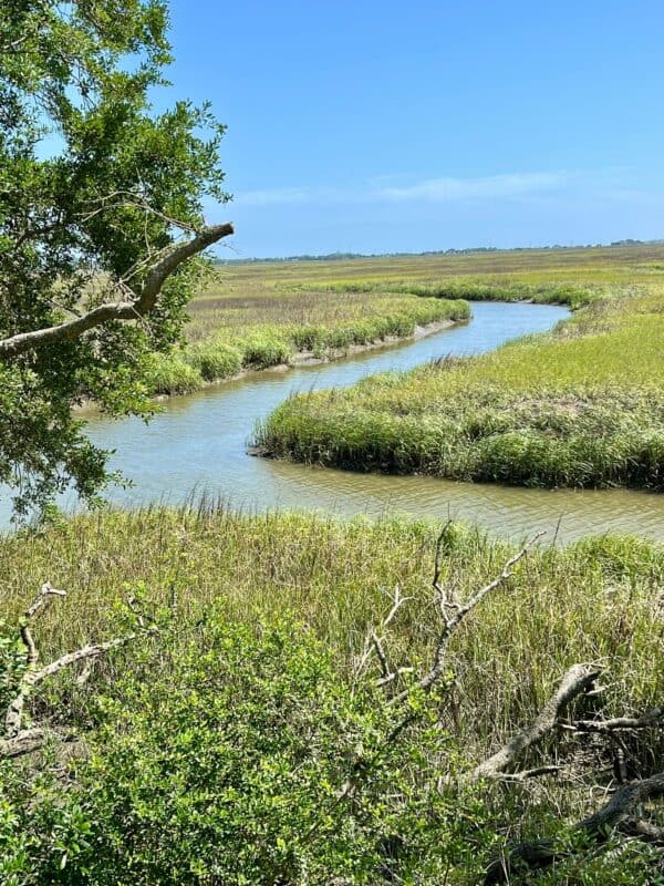 A Scenic Drive Along U.S Highway 17 in Coastal Georgia