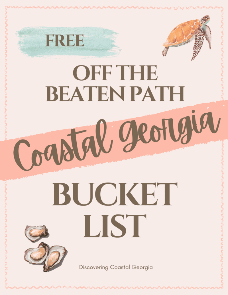 The Complete Guide to Brunswick, GA from a Local